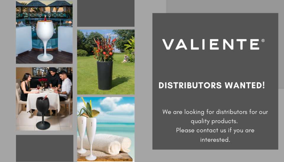 Verandering vraagt moed - Valiente